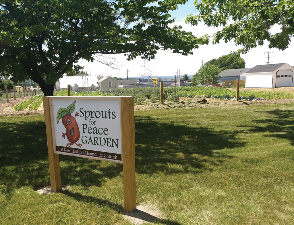 SPROUTS FOR PEACE GARDEN, RAY HURST ‘70 AND BRENDA MARTIN HURST ‘74 ...