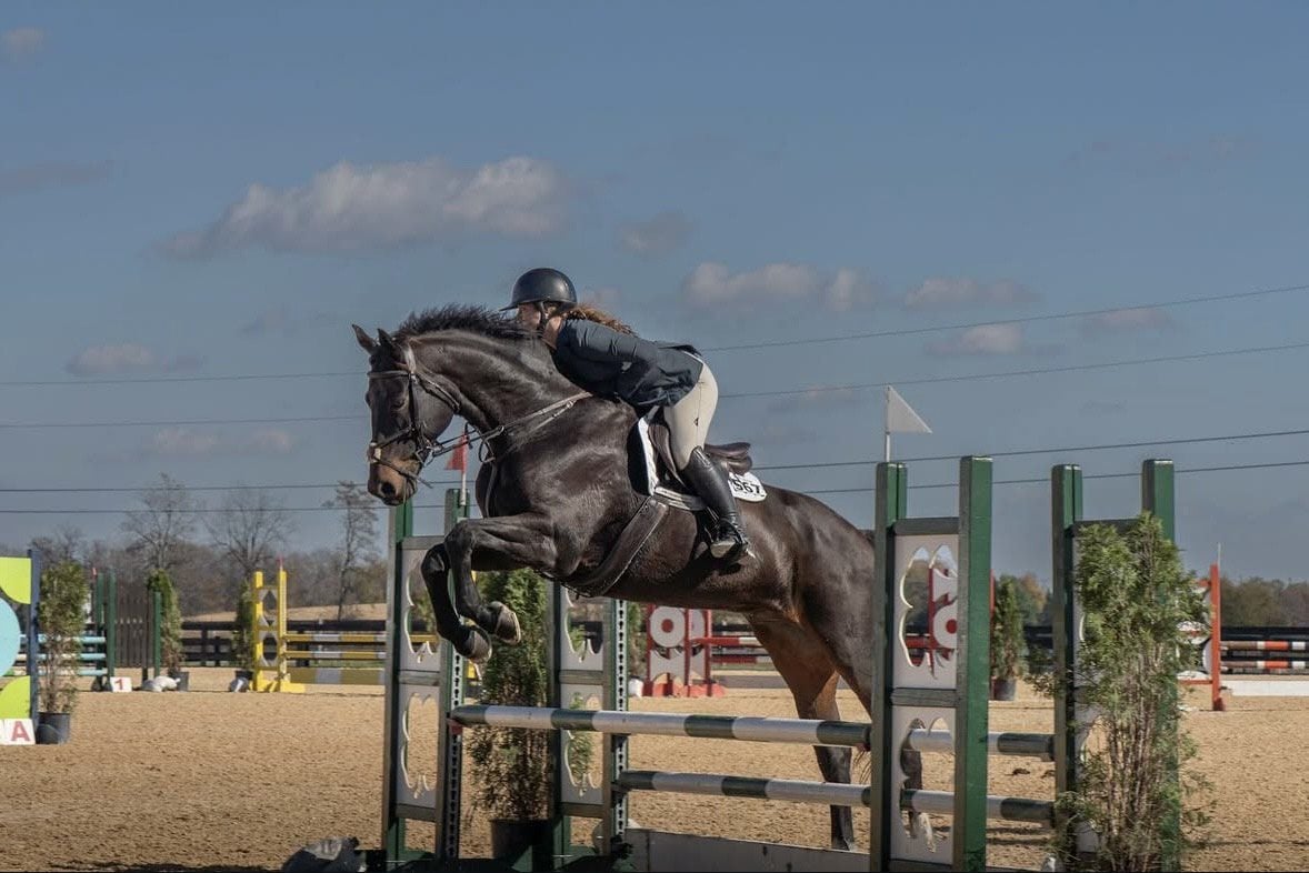 LM Senior Lydia Harrison Leaps Toward International Equestrian Success ...